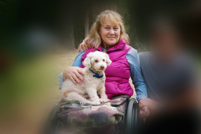 Fundraiser by kelley kalafatich : Eye Surgery - WILBUR - Service Dog