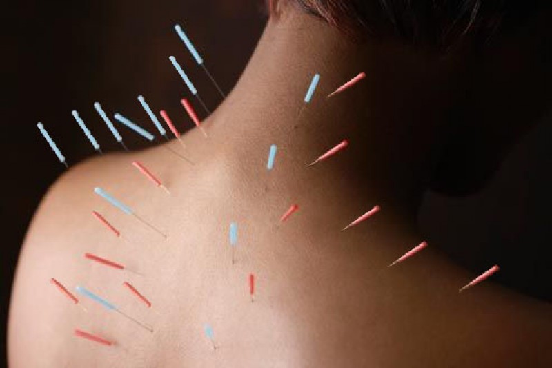 Fundraiser for Mike Tadych, Trustee, NCALB Legal Trust Fund by Patron ...