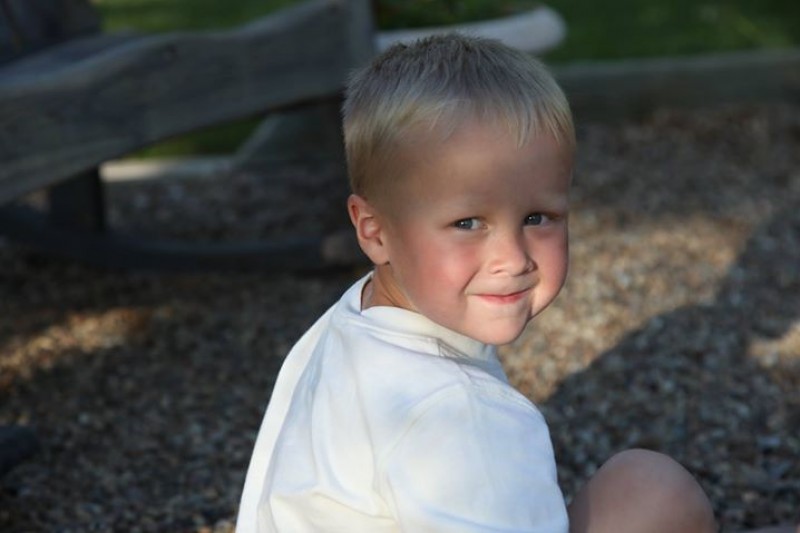 Fundraiser by Venyce VanBuskirk : Alert Dog for Quinn