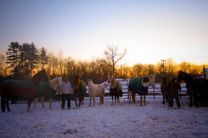 Fundraiser by Laura Litterer : Saving Grace–Fund for Full of Grace