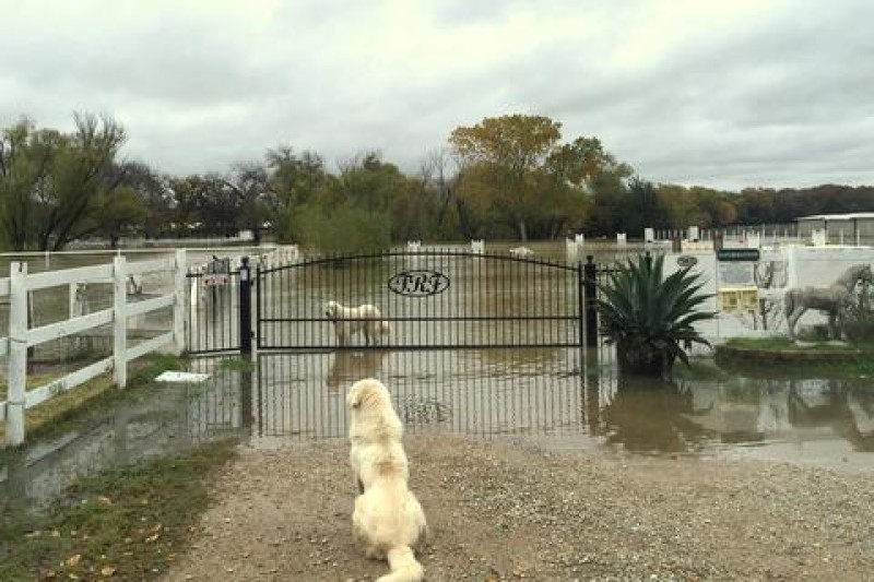 Fundraiser by Julie Amendola : Trinity River Farm Flood Fund