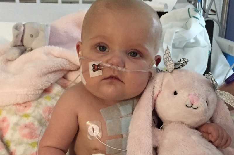 Fundraiser for David Hauser by Erin Rodriguez : Hauser Roof Fund