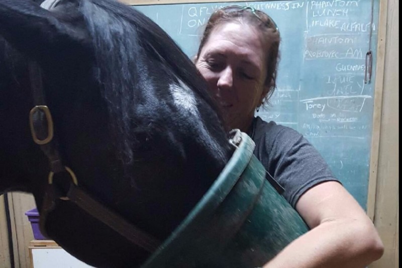 Fundraiser for Sarah Scott by Michelle Duclos : Funds for Finnegan