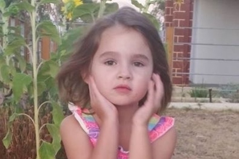 Fundraiser by Dave Alecia Wilson-Girdler : Ava Wilson Specialists ...