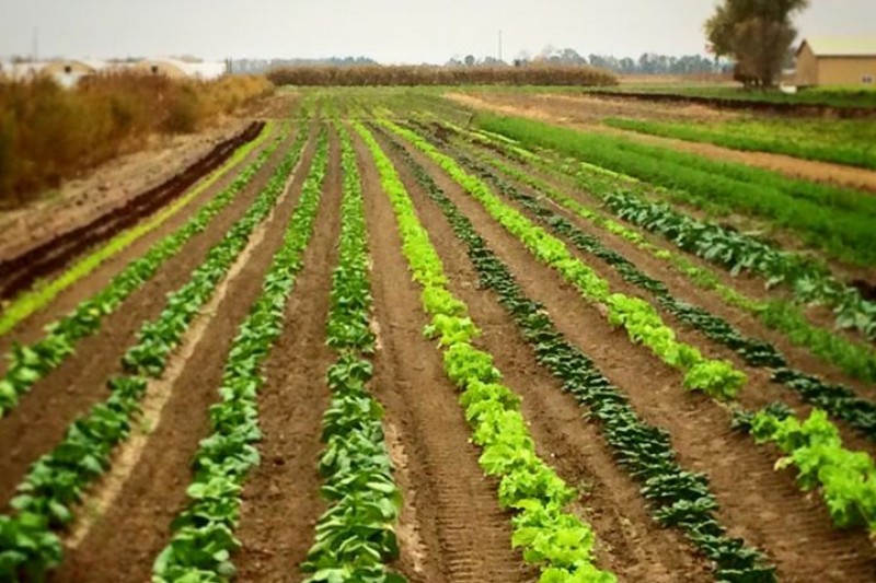 Fundraiser by Genesis Growers : Genesis Growers Land Expansion