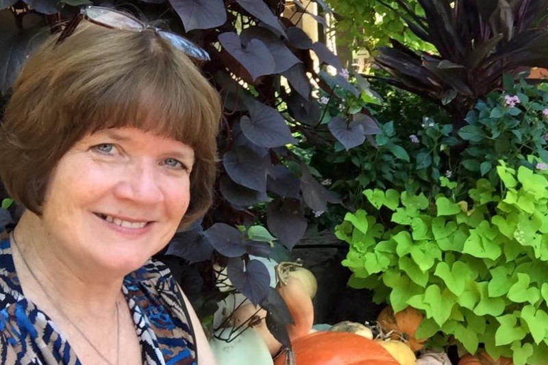 Fundraiser for Rose Obenhaus by Jason Obenhaus : Rose's Recovery