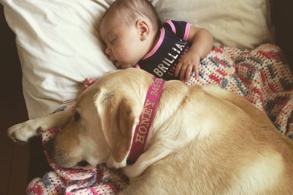 Fundraiser for Larissa Aylward by Melissa Caul : Help Honey Aylward