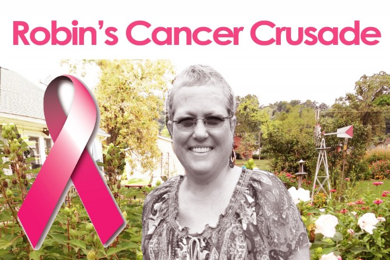 Fundraiser for Robin Musson by Tara Galles : Robin's Cancer Crusade