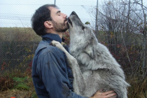Fundraiser by Andrew Dobos : Algonquin Park Wolf Tracking Trip